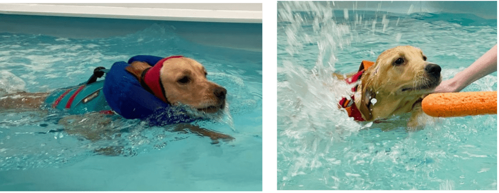 Meet Oliver – HOPE South Yorkshire