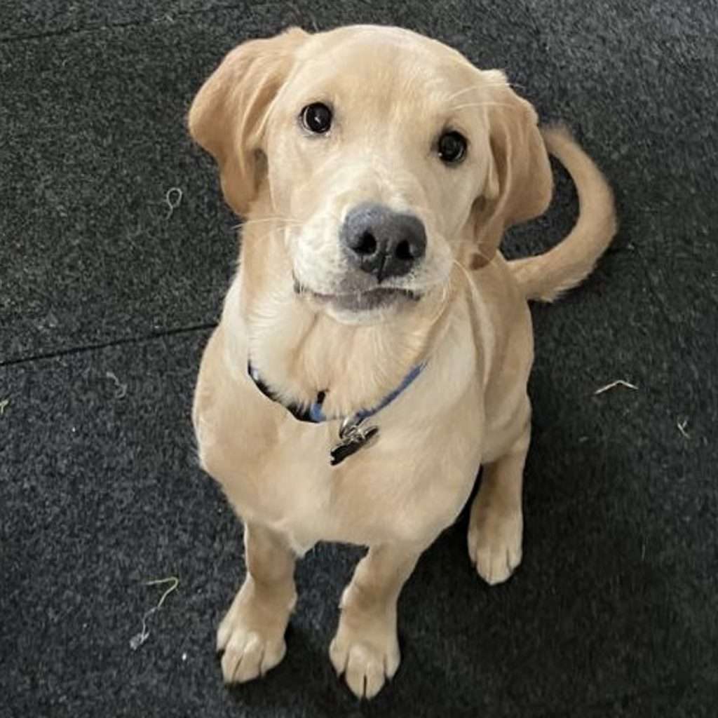 Meet Oliver – HOPE South Yorkshire